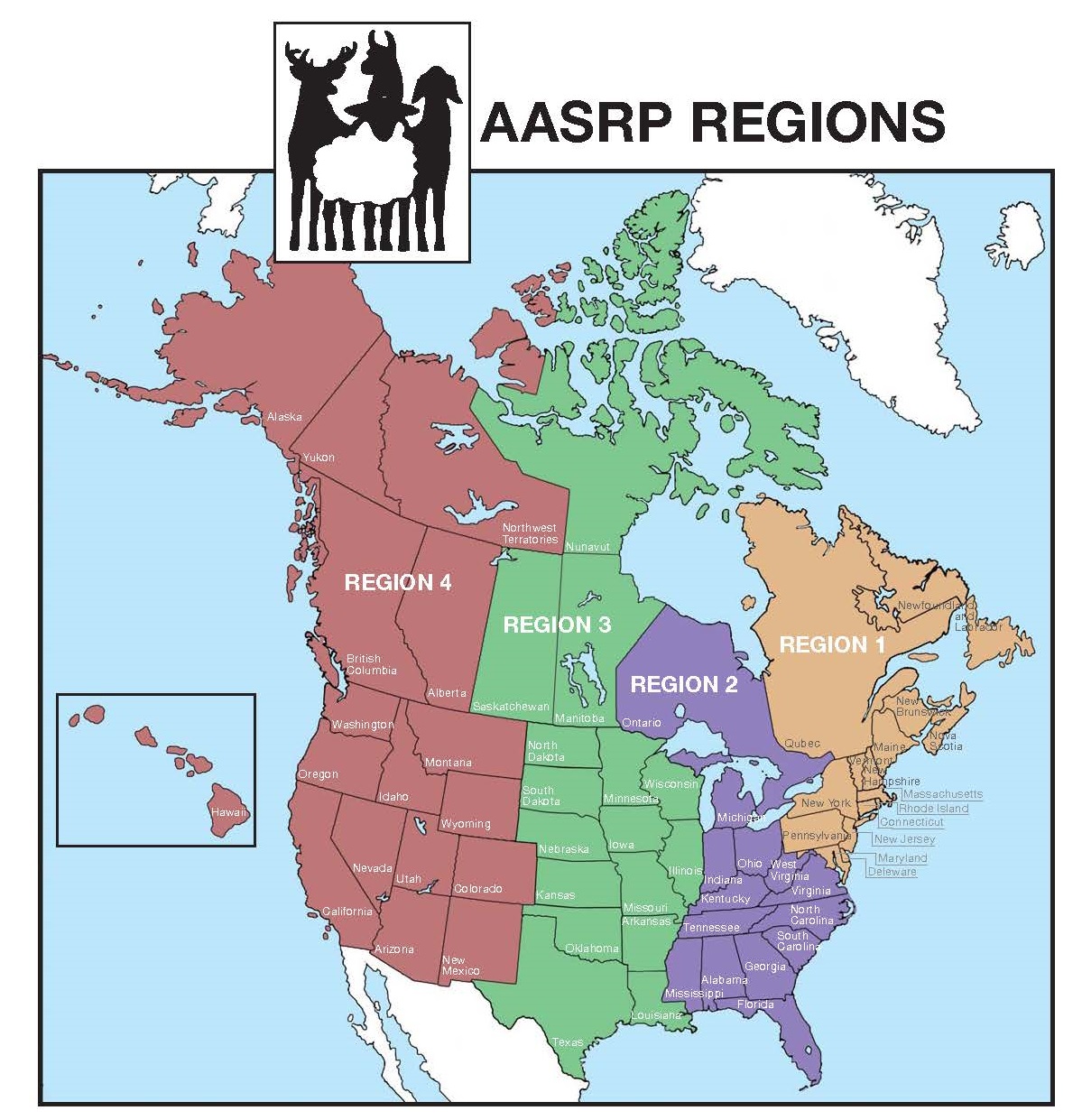 Member Information